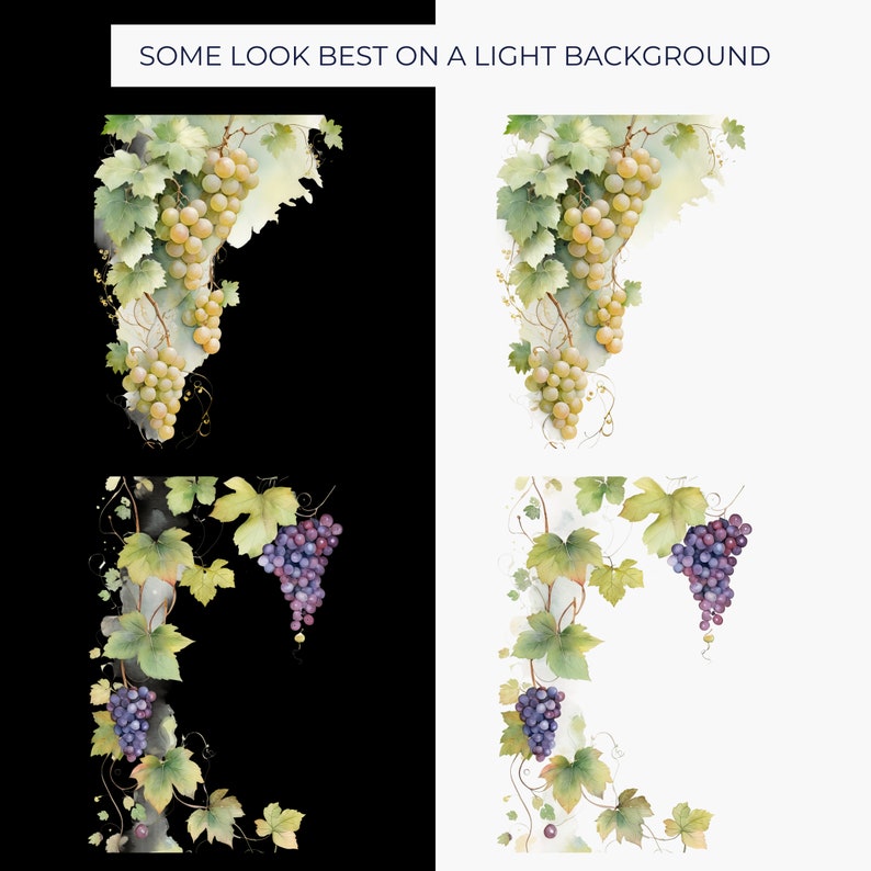 Watercolor Grapevine Clipart, Decorative PNG Graphics, Fruit Clip Art ...