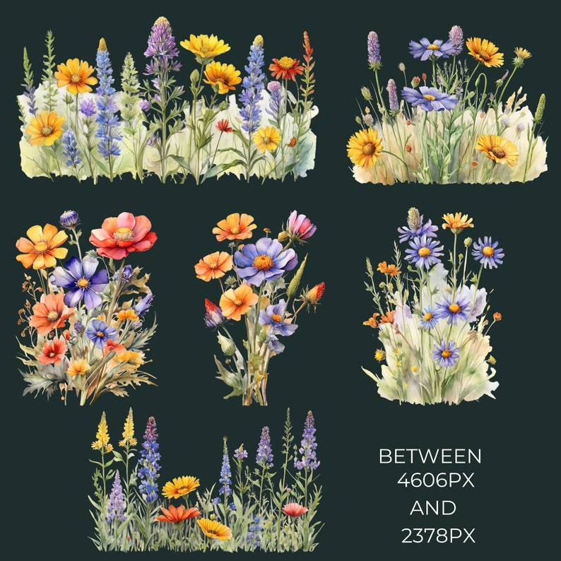 Texas Wildflower Clipart Set, Instant Download PNG Files, Wildflower ...