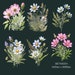 Wildflower Clipart Set, Instant Download Images, Scrapbooking Supplies ...