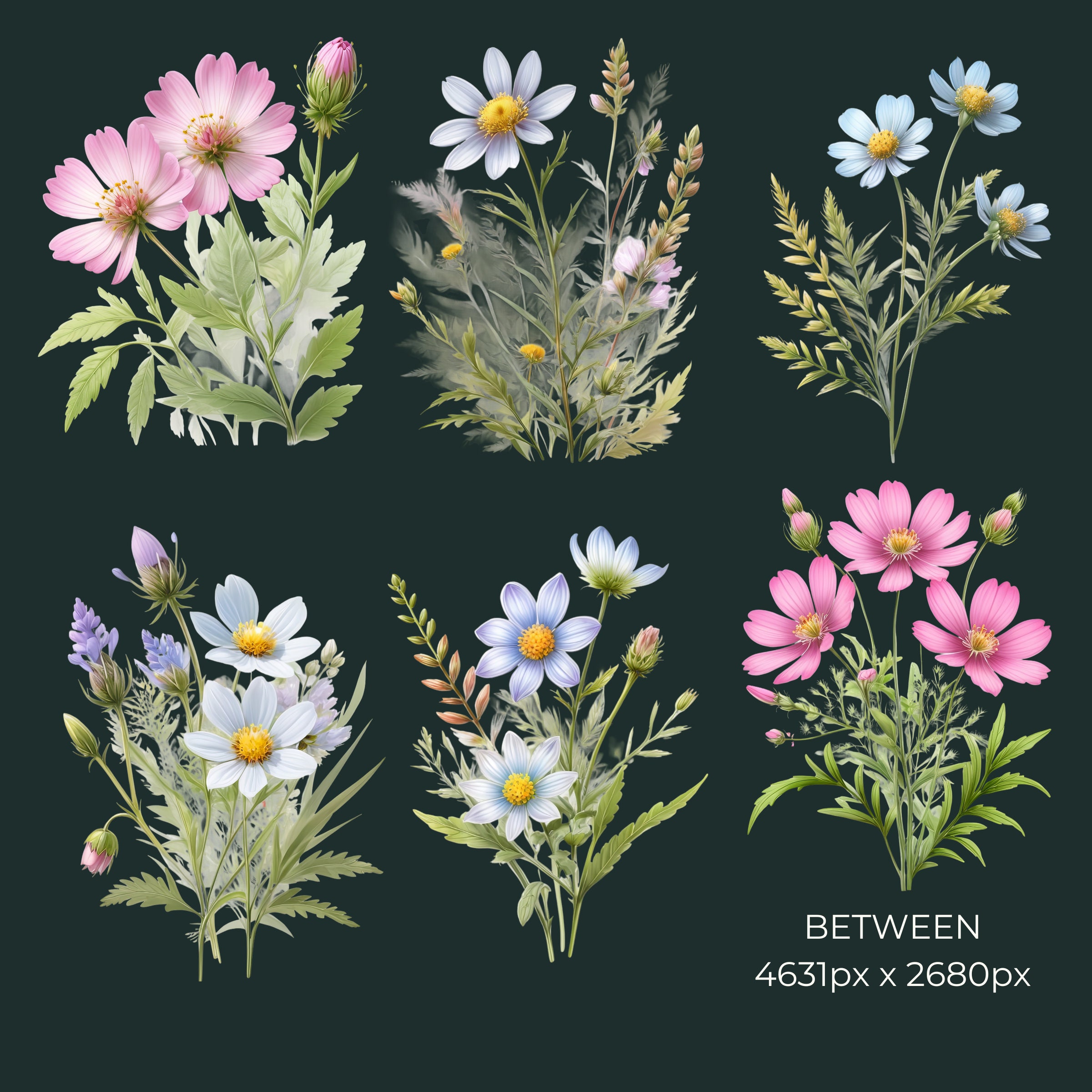 Wildflower Clipart Set, Instant Download Images, Scrapbooking Supplies ...