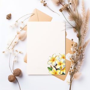 Tropical Plumeria Frangipani Clipart Pack, Hawaiian Flower Graphics ...