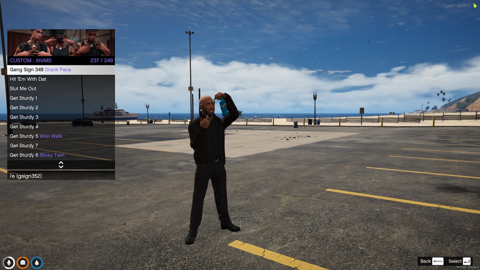 Fivem Emote Menu Pack - Etsy