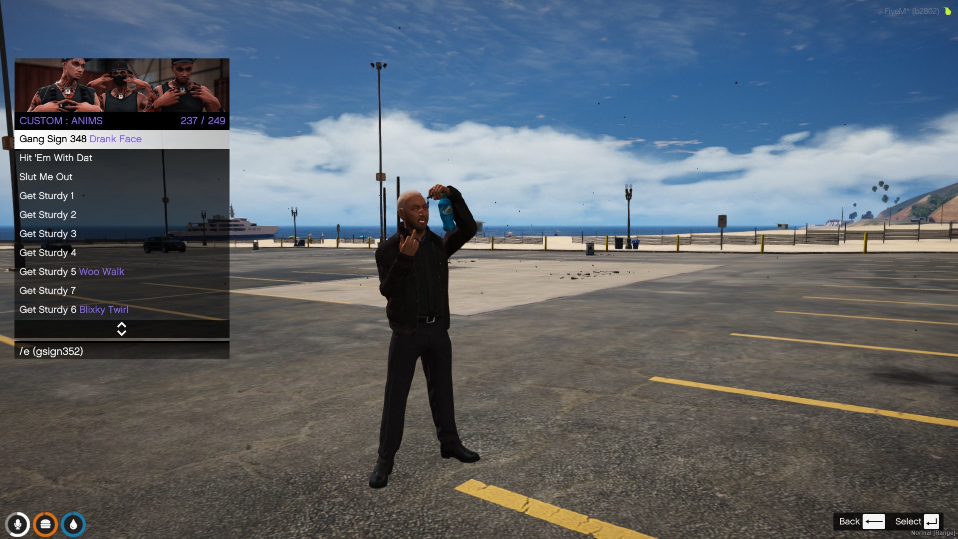 Fivem Emote Menu Pack - Etsy