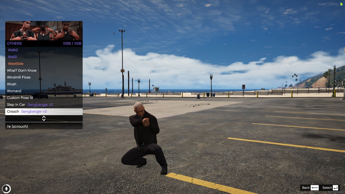 Fivem Emote Menu Pack - Etsy