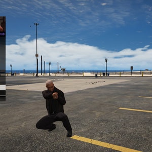 Fivem Emote Menu Pack - Etsy