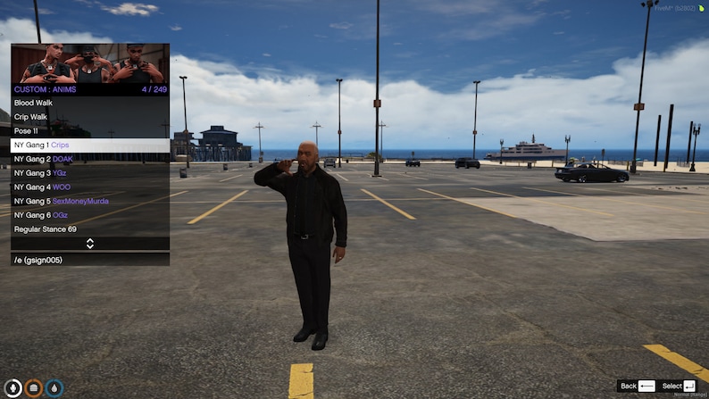 Fivem Emote Menu Pack - Etsy