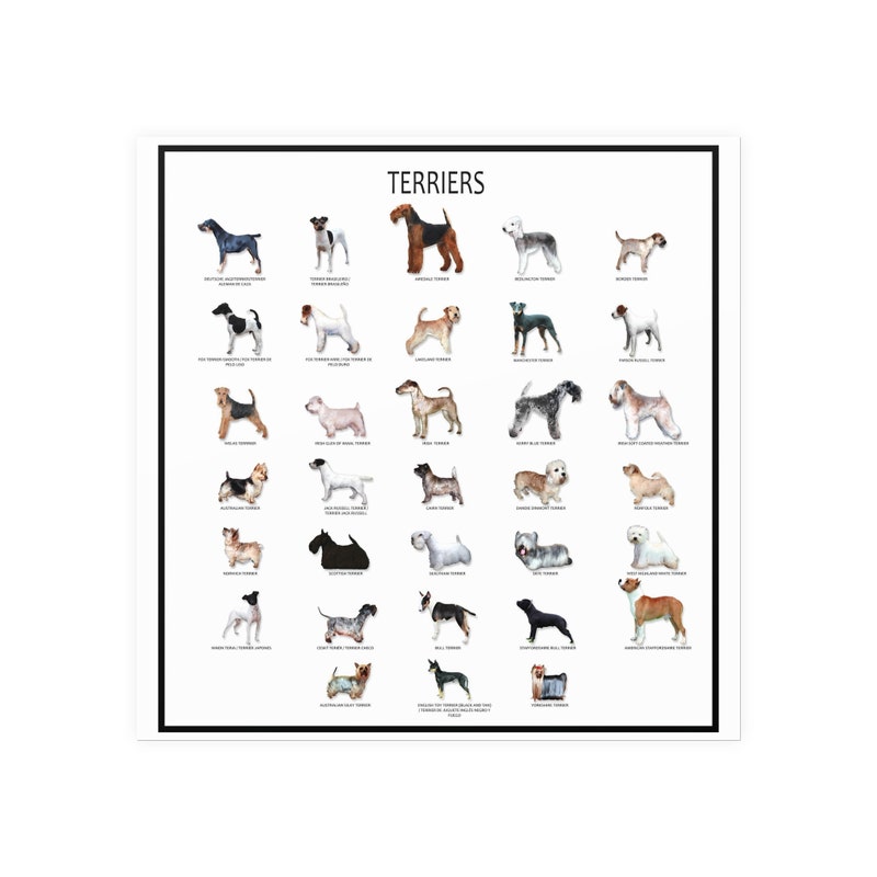 Dog Breeds Poster - Etsy