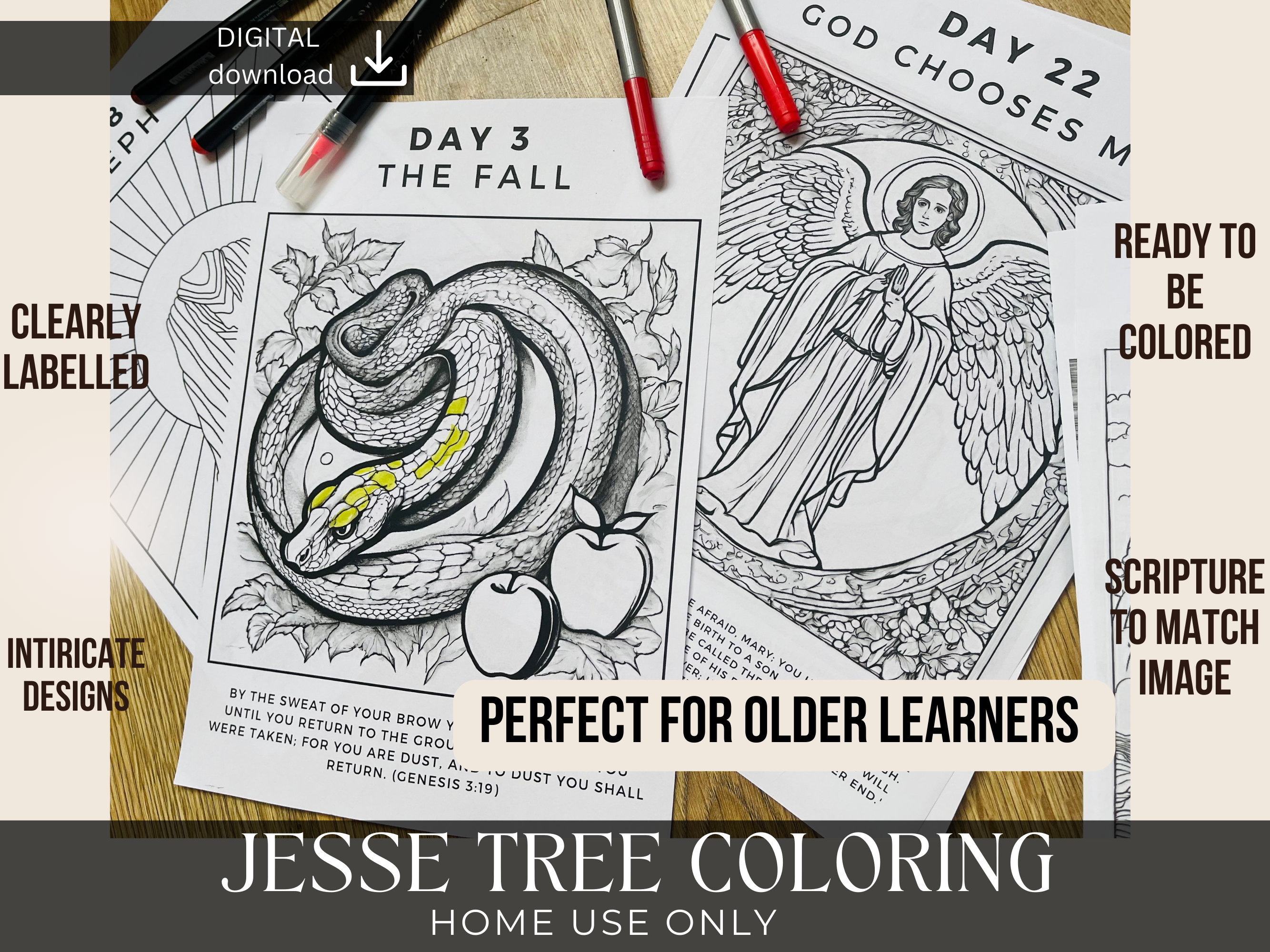 Jesse Tree Ornaments for Teens, Catholic Advent Activities, Homeschool ...