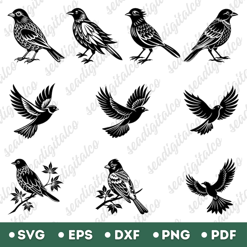 Humming Bird Svg - Etsy