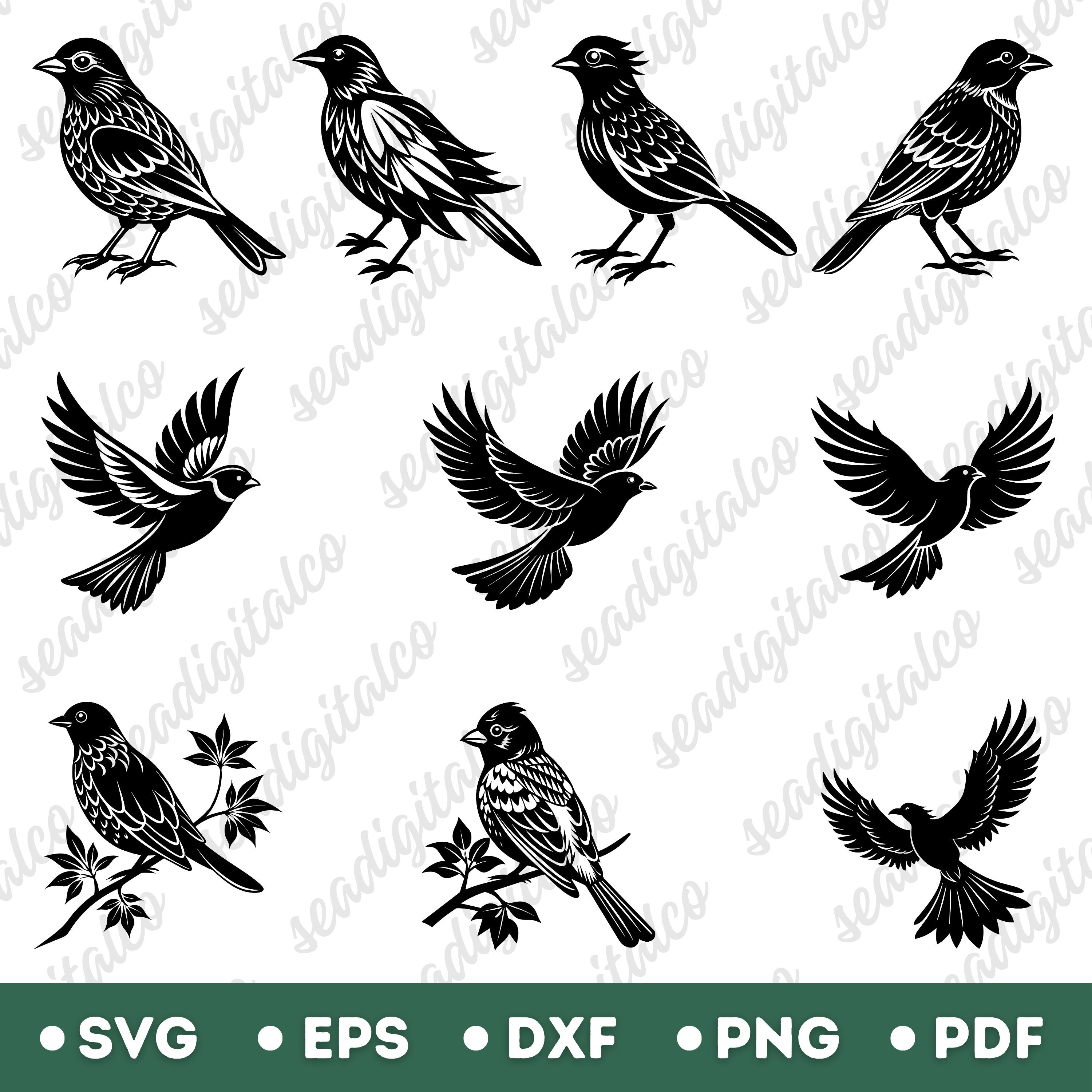 Bird SVG, Bird Svg Bundle, Flying Bird Svg, Birds on Branches SVG, Bird ...