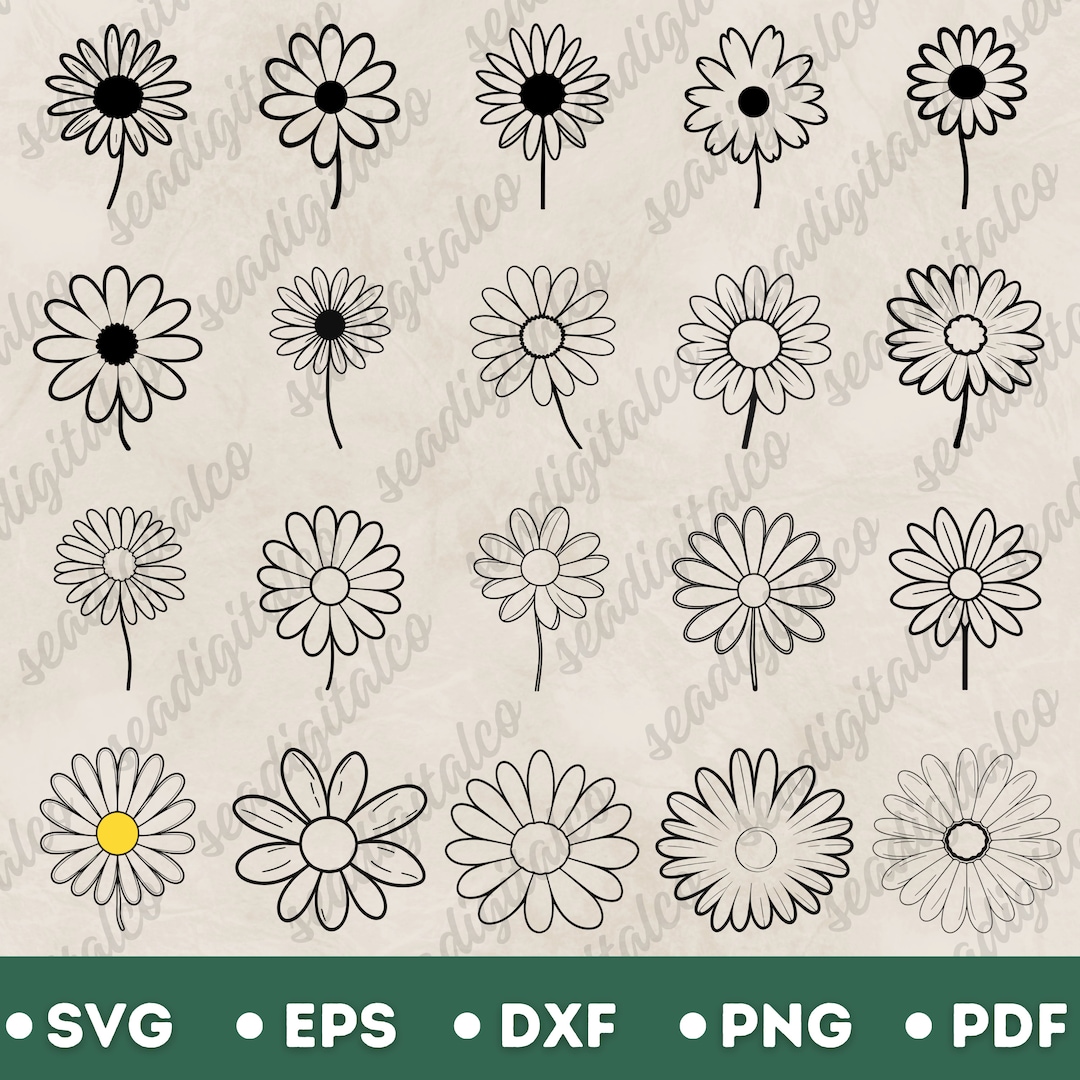 Daisy Svg Bundle, Flower Svg, Floral SVG, Daisy Leaves Svg, Daisy ...
