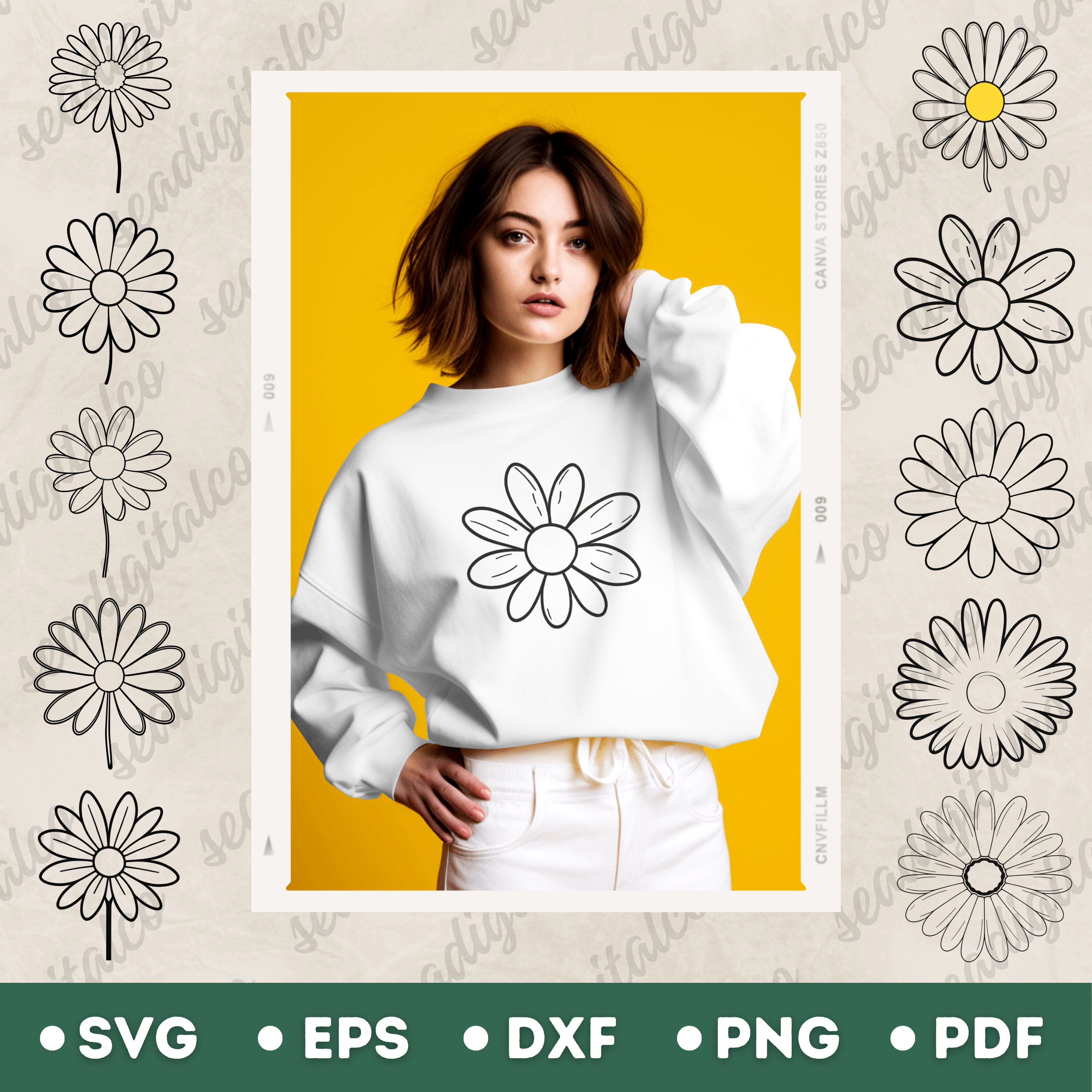 Daisy Svg Bundle, Flower Svg, Floral SVG, Daisy Leaves Svg, Daisy ...