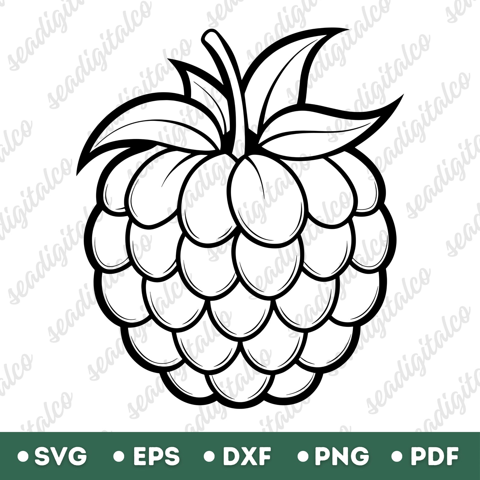 Raspberry Svg, Raspberry Outline, Raspberry Vector Clipart, Fruits Svg ...