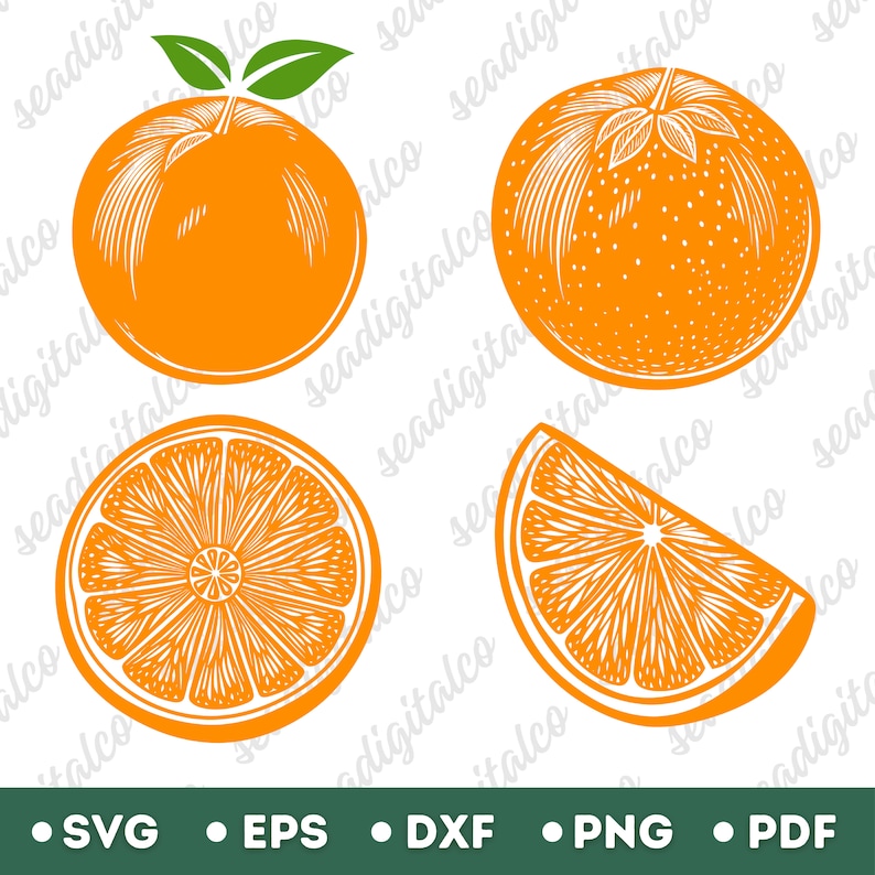 Orange SVG Bundle, Orange Slice SVG, Orange Fruit SVG Vector, Orange ...