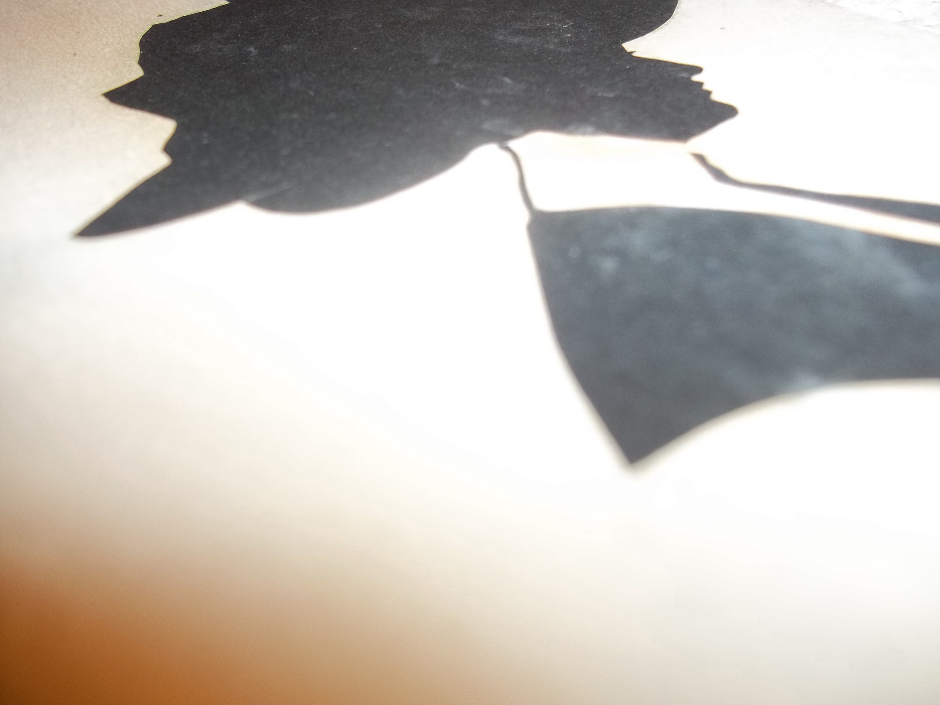 Antique Silhouette Portrait Postcard in Frame 1904-1915 by E. J. Perry ...