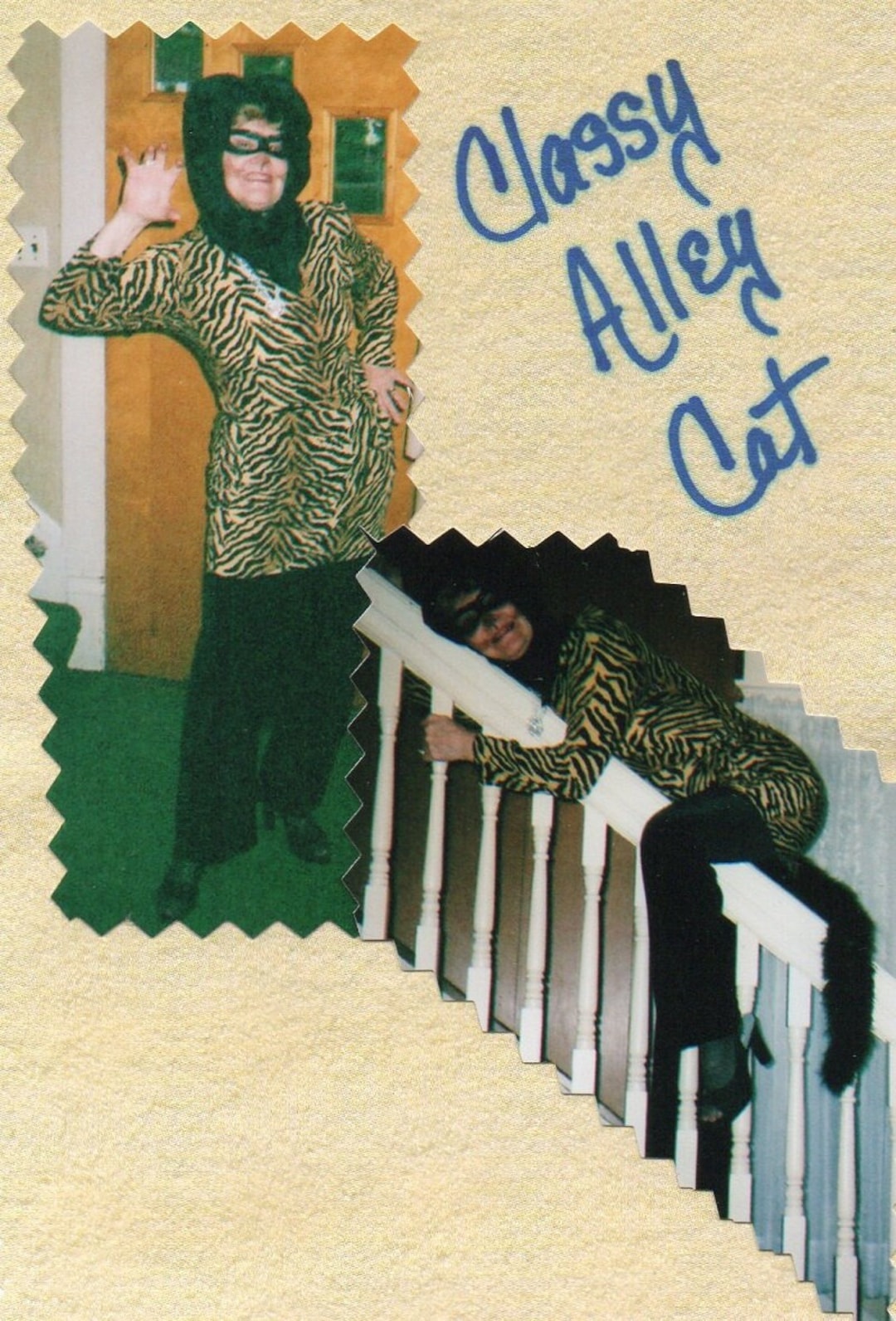 Vintage 4 Piece Classy Alley Cat Costume With Tail Hand-designed Put ...