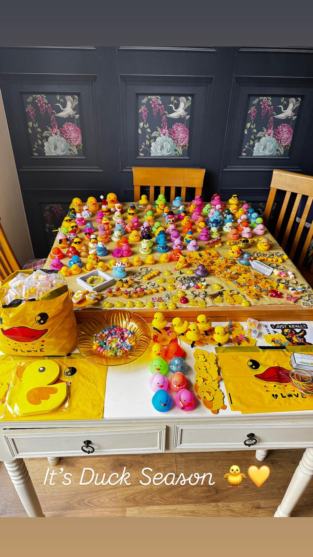 Rubber Duck Animal Collection Set - Etsy