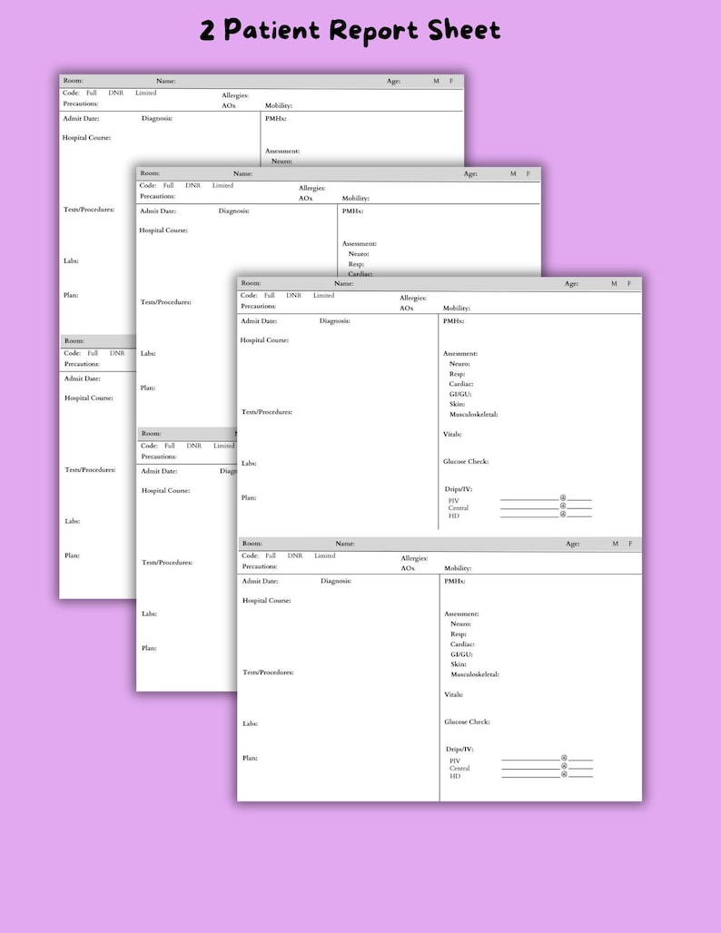 2 Patient Nursing Report Sheet - Etsy