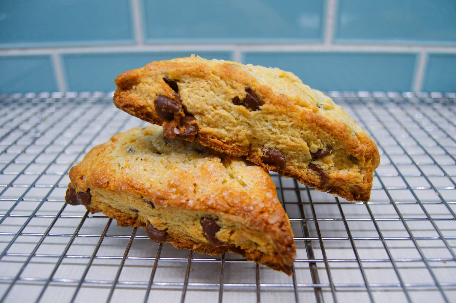 Chocolate Chip Scones - Baked Goods - Freshly Baked Scones - Homemade ...