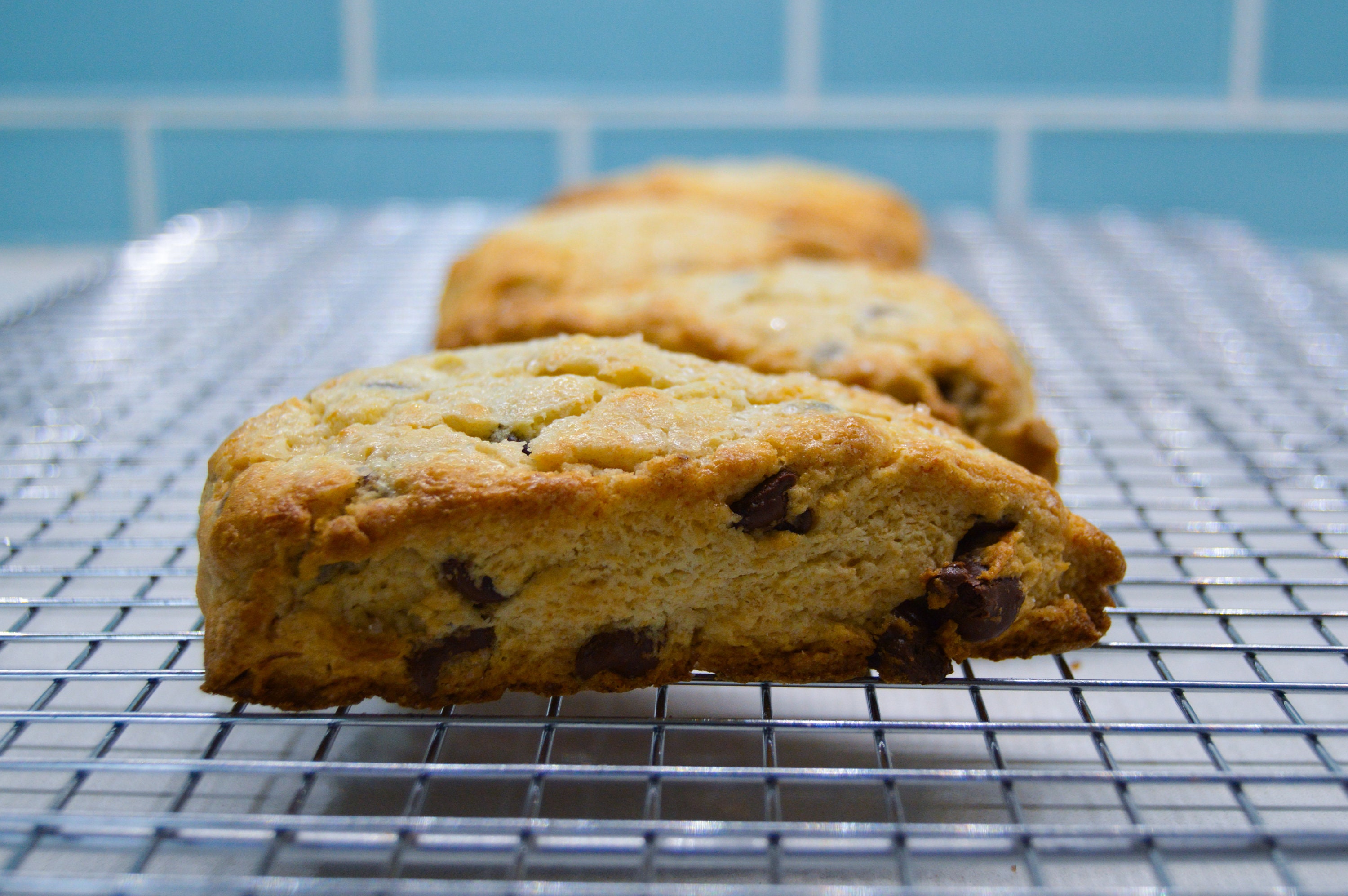 Chocolate Chip Scones - Baked Goods - Freshly Baked Scones - Homemade ...