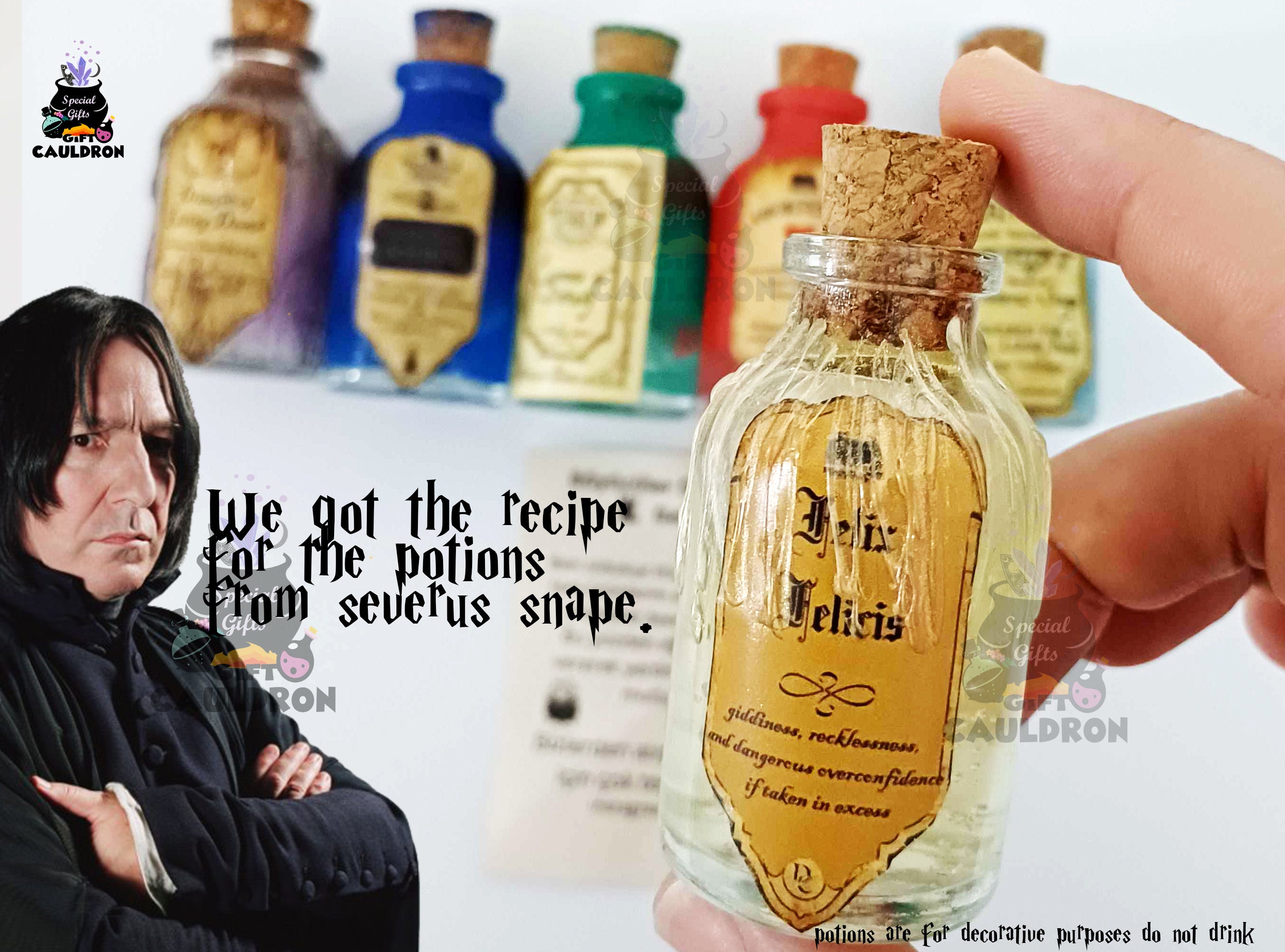 Set of Harry Potter Potions, Severus Snape 6 Pieces Potion Decor ...