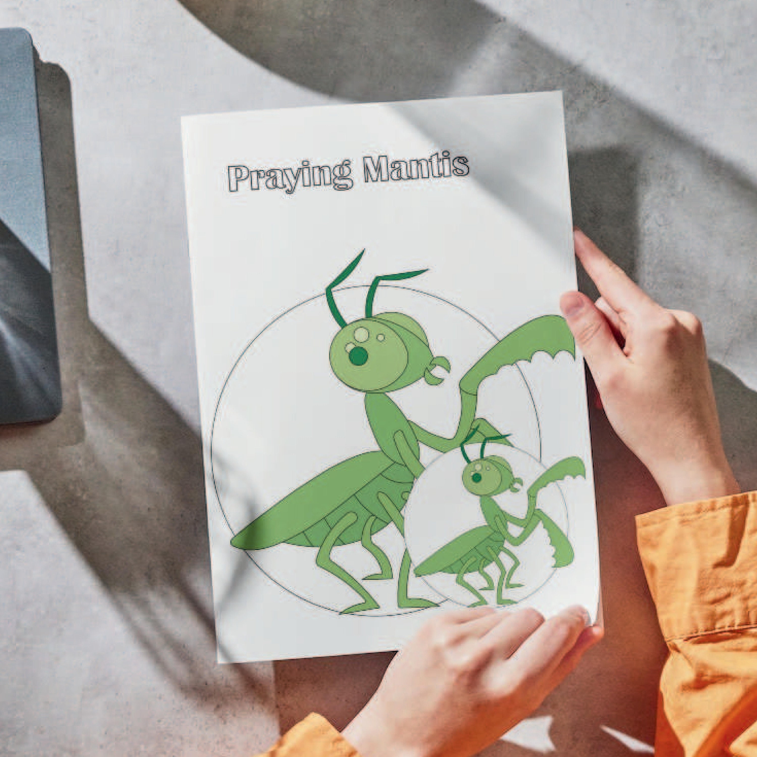 Bug Art: Insect Paper Plate Craft Templates for Creative Kids - Etsy