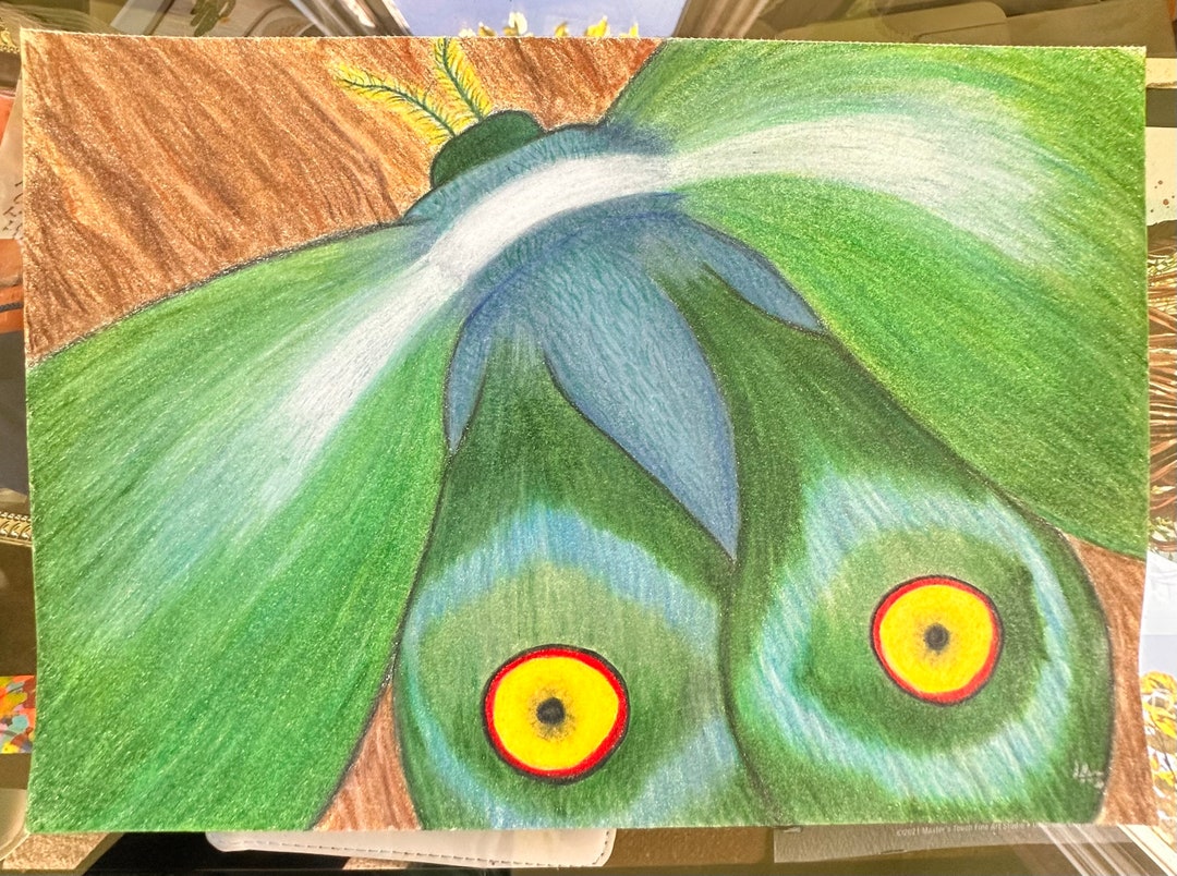 Green Fuzzy Moth Drawing - Etsy