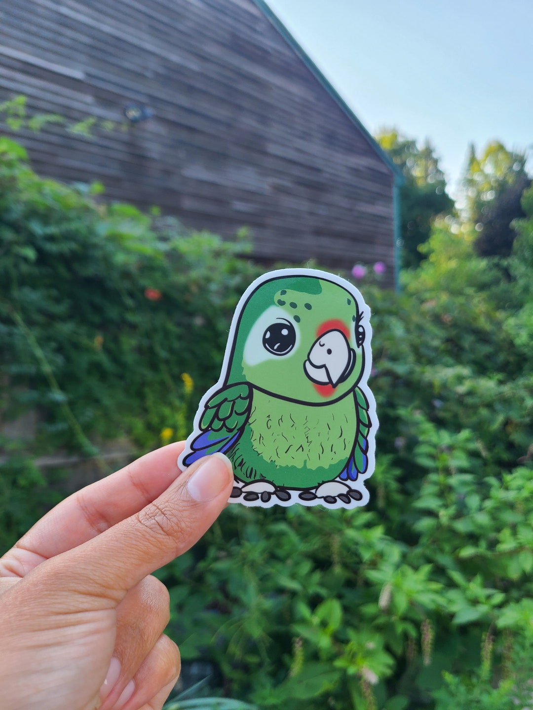 Puerto Rican Parrot Vinyl Sticker Vibrant Decal for Laptops, Water ...