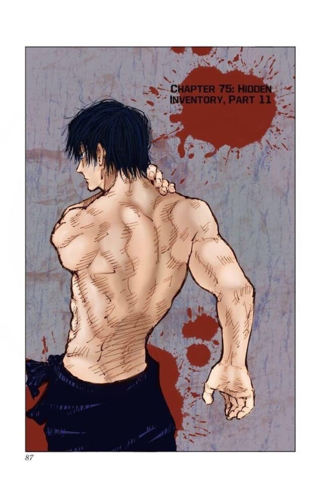 Toji Fushiguro High-quality Printable Colored Manga Poster - Etsy UK