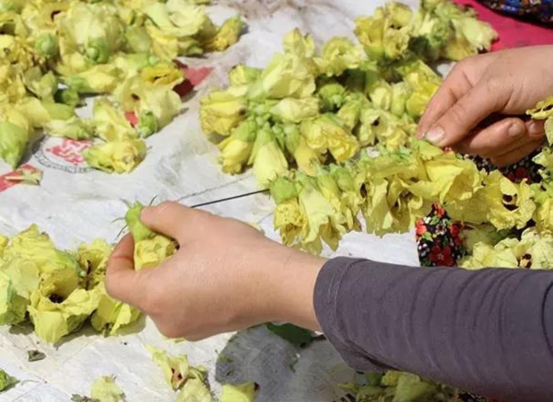 Dried Okra, Whole Okra Snacks, Bamya,okro, Ladies Fingers, Gumbo, Ochro ...