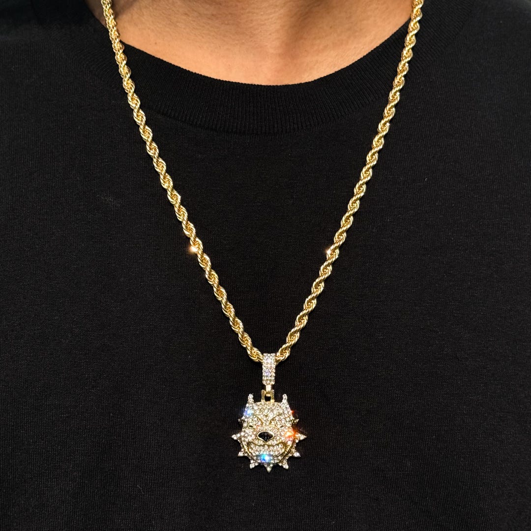 Men's Iced Out Dog Pendant With 4mm Rope Necklace - Etsy