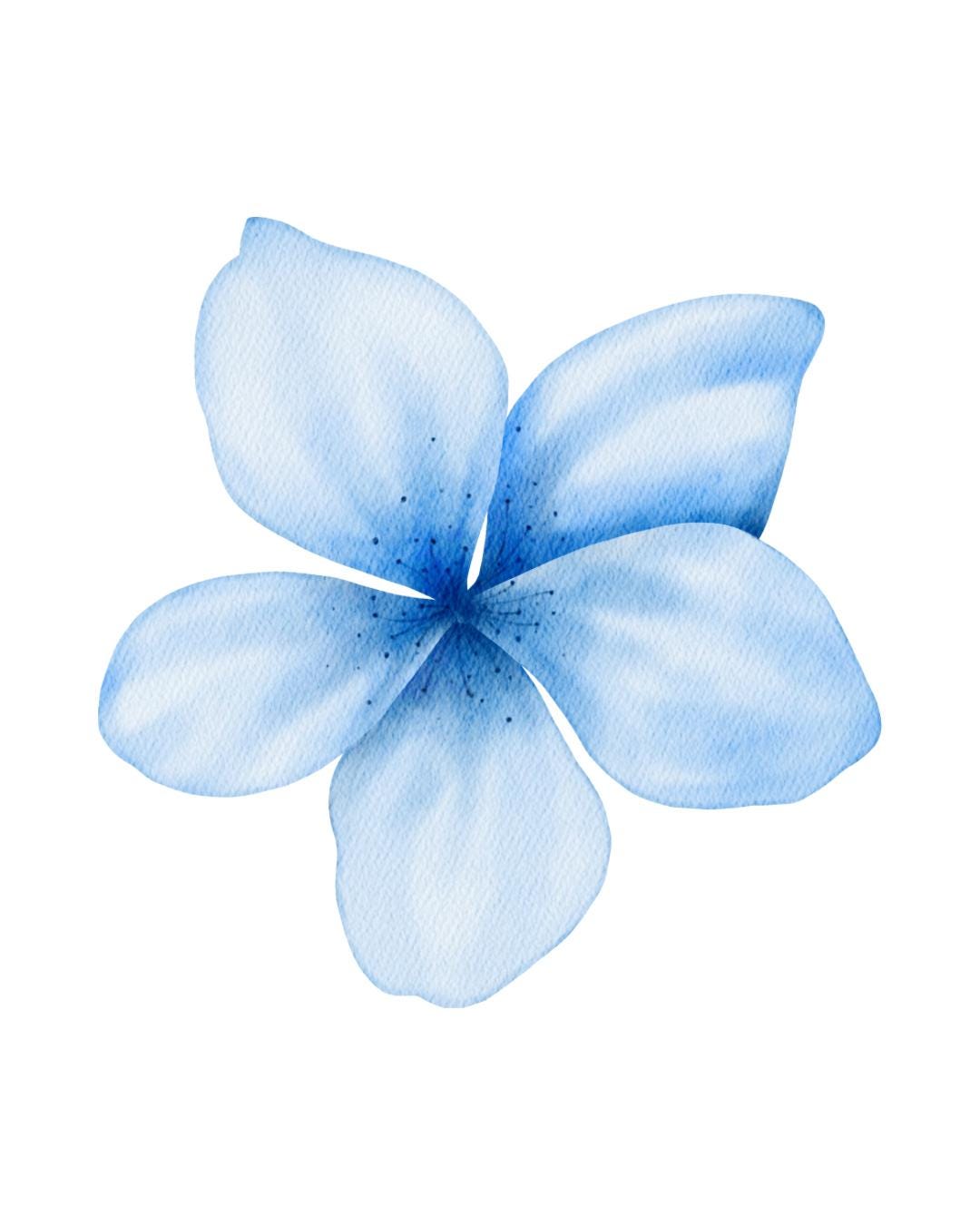 Blue Flower Watercolor Print (digital Download) - Etsy