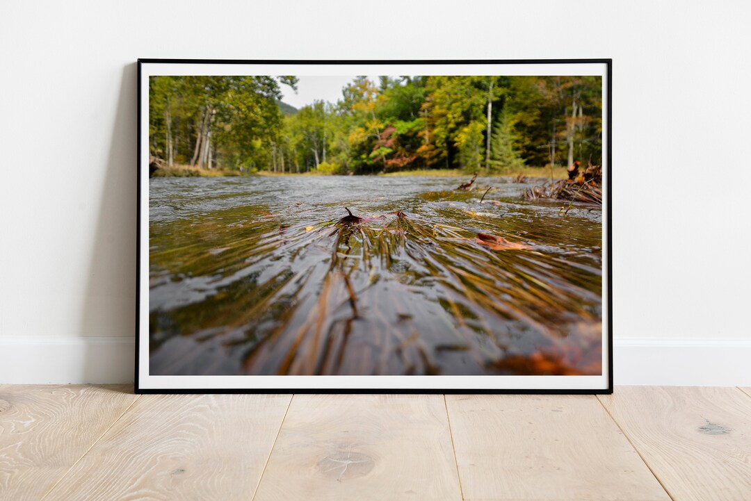 Fall Riffle - Pennsylvania Creek in Fall, Trout Stream in Fall, Fly ...