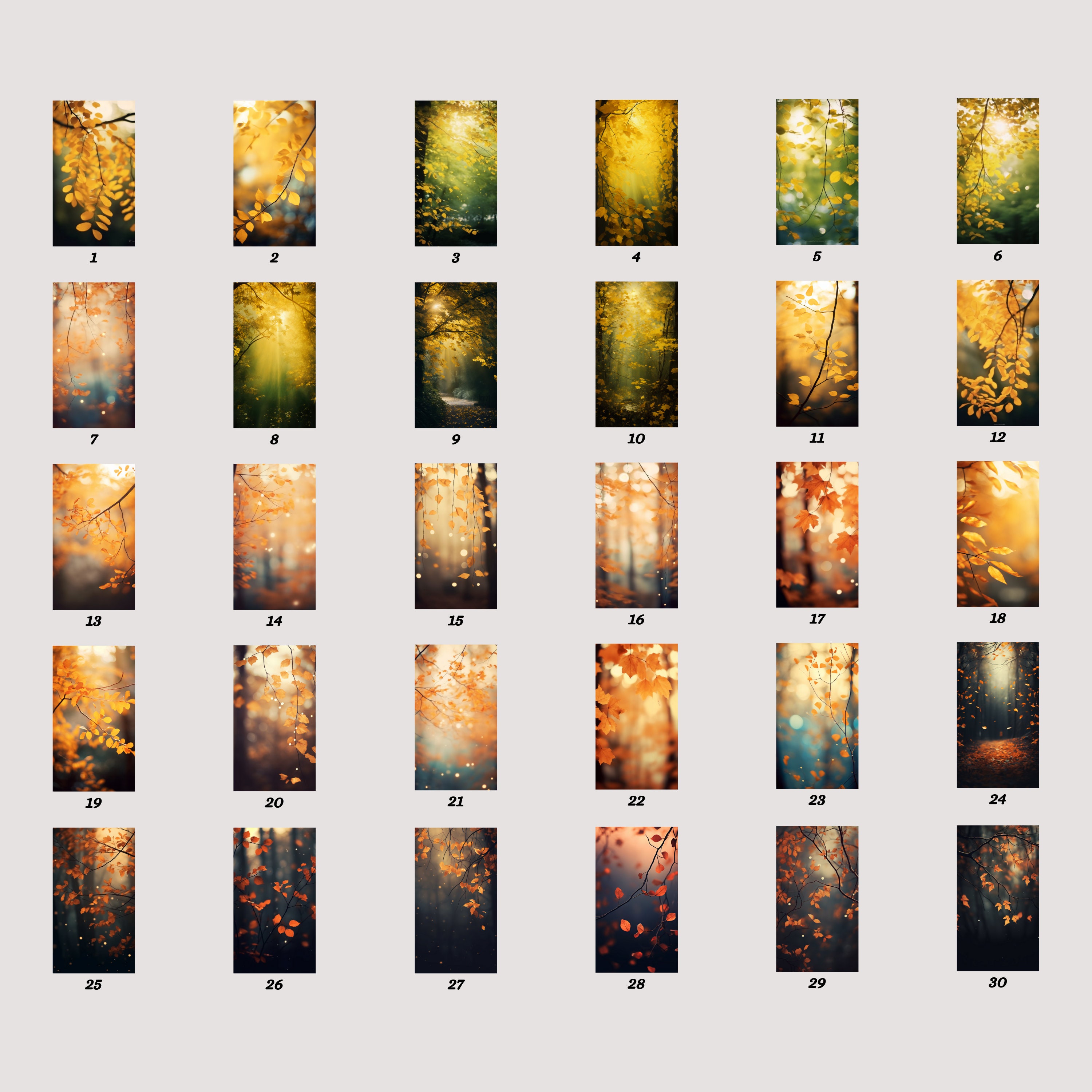 40 Blurred Fall Portrait Backdrops for Photoshop Digital Autumn Photo ...