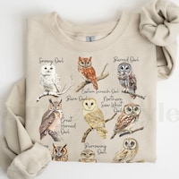 Barn Owl & Roses Sweatshirt | Barn Owl Crewneck | Nature Crewneck ...