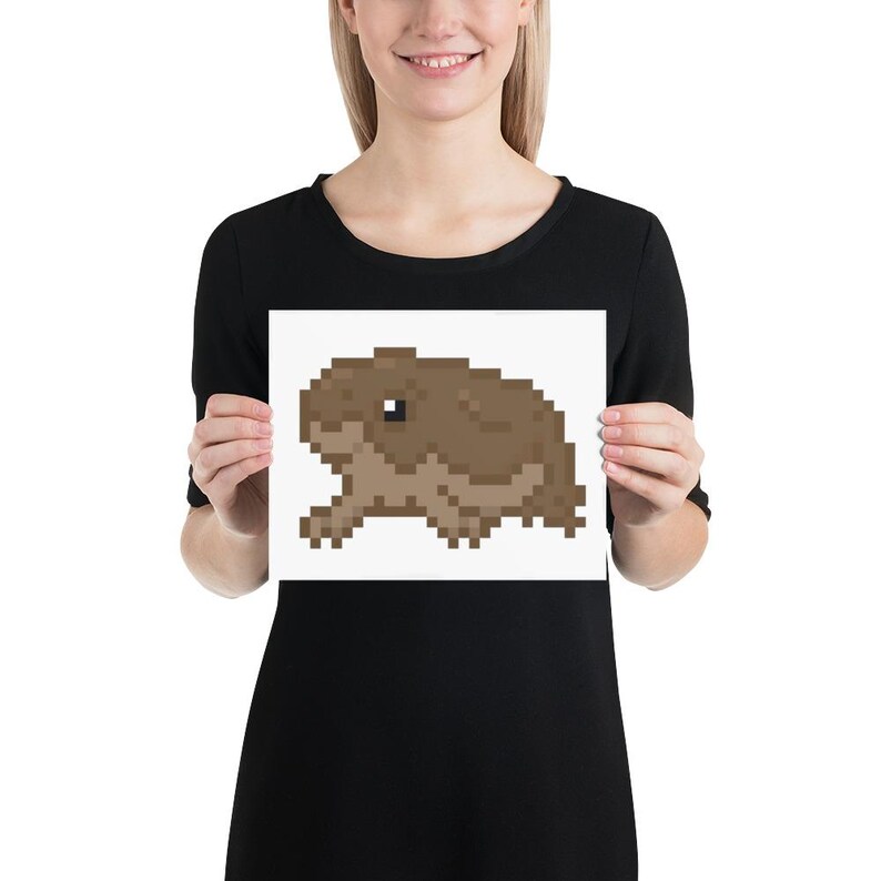 Toad Pixel Art Photo Paper Poster - Etsy