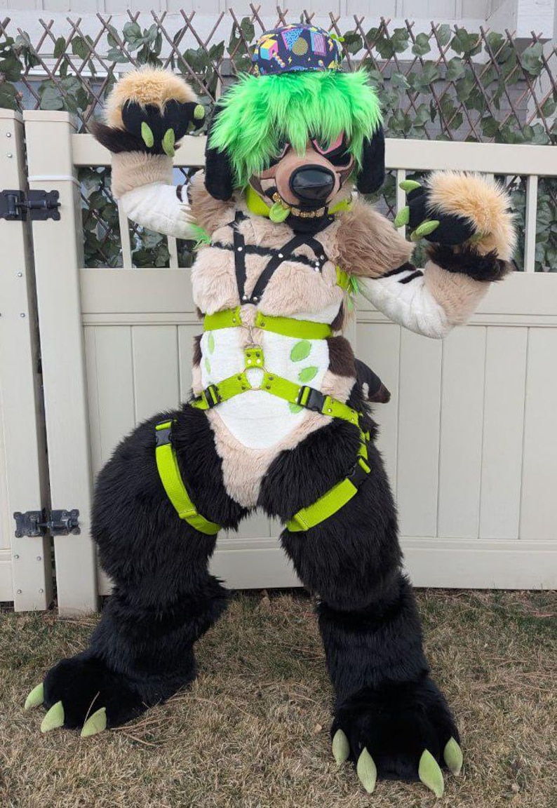 Mystery Fursuit Harness Box - Etsy