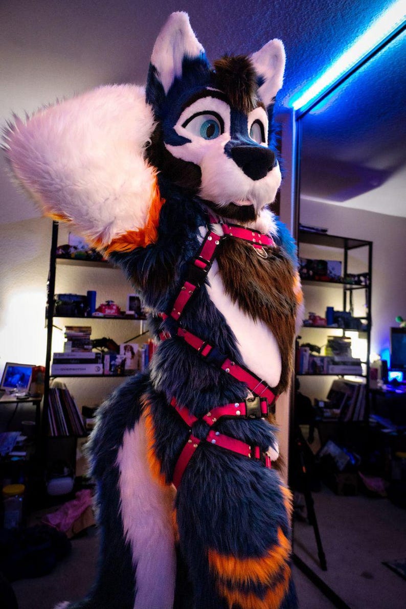 Mystery Fursuit Harness Box - Etsy