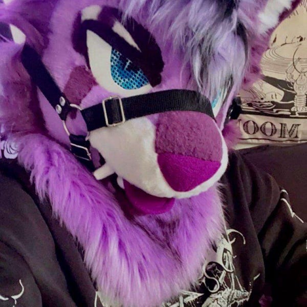 Murrsuits - Etsy