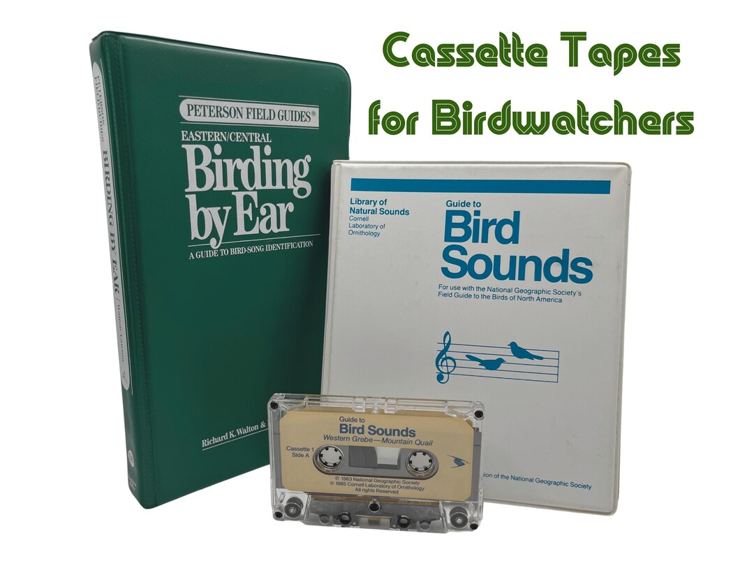 Bird Sounds Cassette Tapes With Guides, Playing Cassette Tapes ...