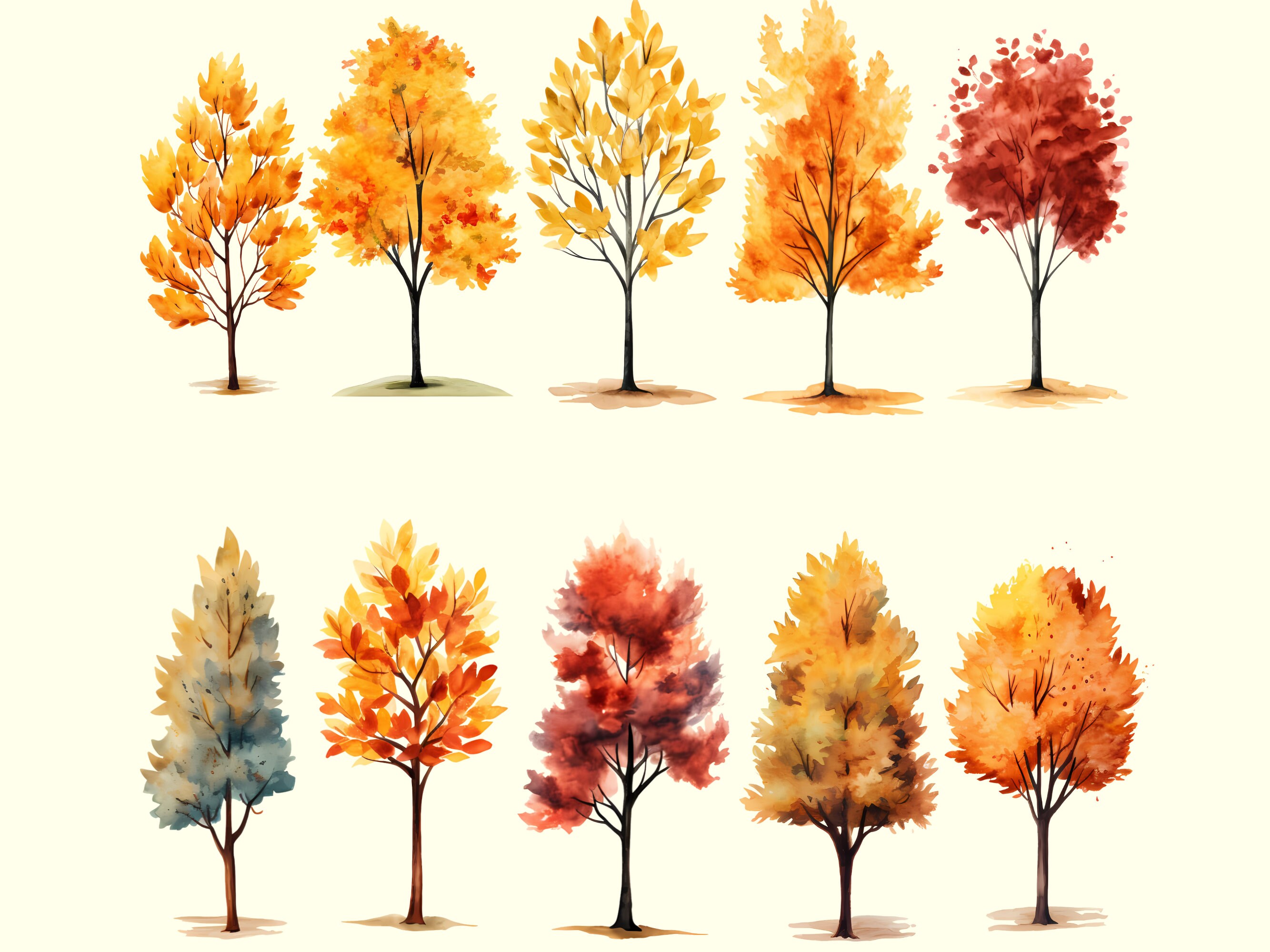 Autumn Trees Watercolor PNG Clipart, Fall Foliage Images Clip Art ...