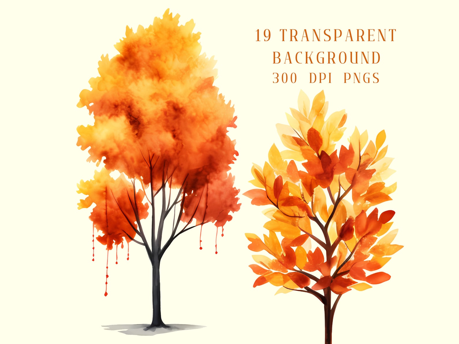 Watercolor Autumn Tree Clipart, Fall Foliage PNG Graphics (digital ...