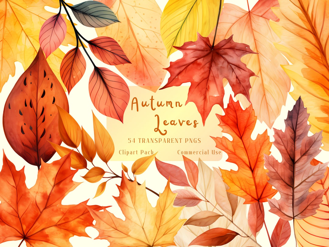 Autumn Leaves Watercolor PNG Clipart, Fall Leaf Images Clip Art ...