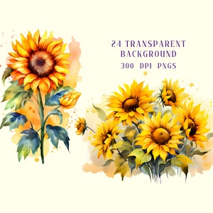 Watercolor Sunflower PNG Clipart, Fall Autumn Sunflowers Clip Art ...