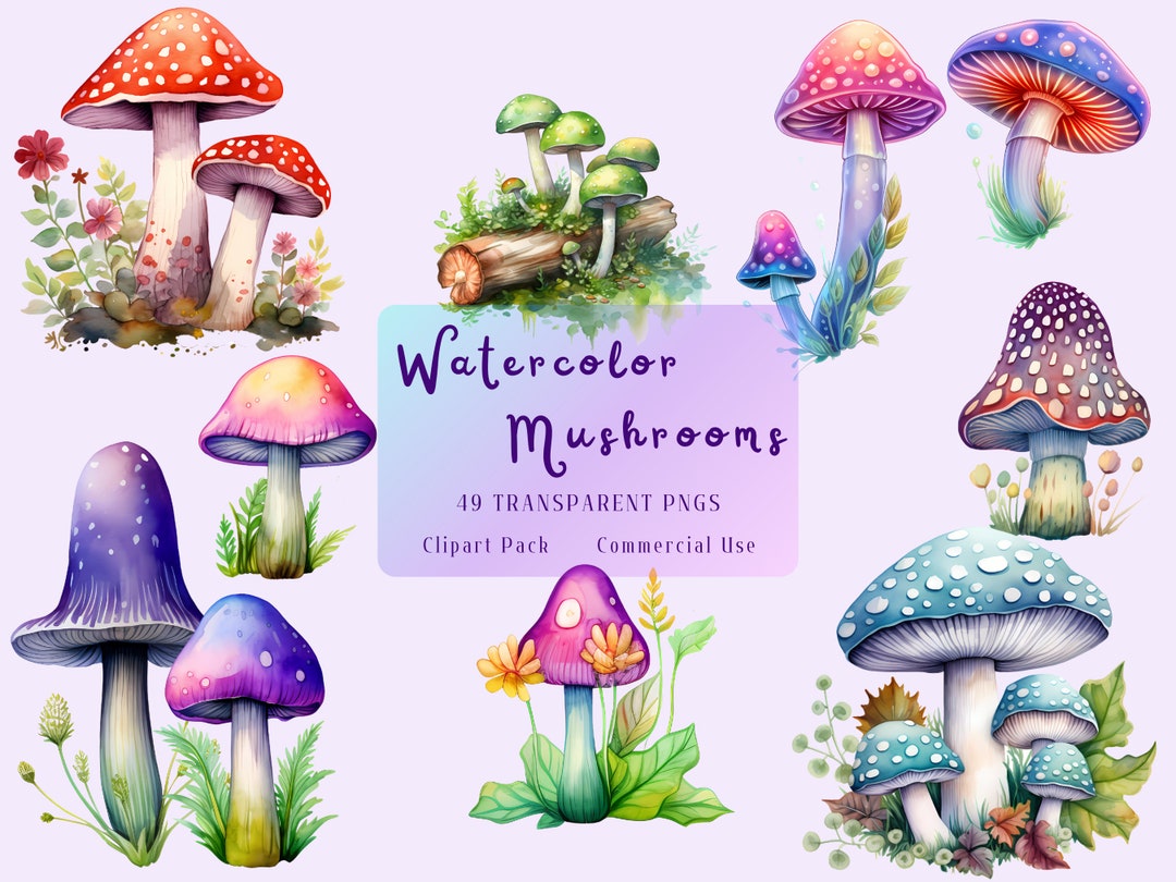 Watercolor Mushroom PNG Clipart Cute Toadstool Clip Art - Etsy