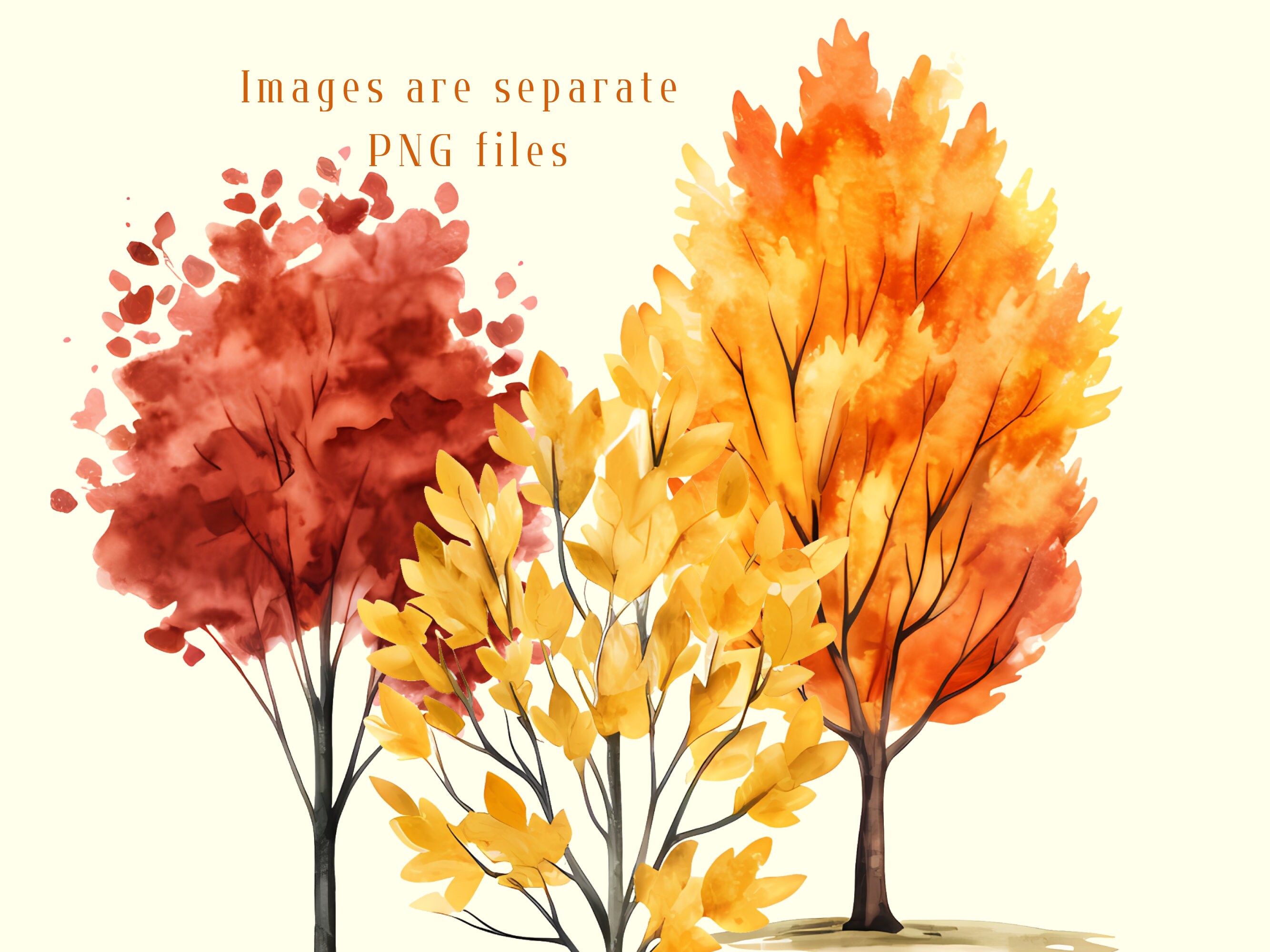 Autumn Trees Watercolor PNG Clipart, Fall Foliage Images Clip Art ...
