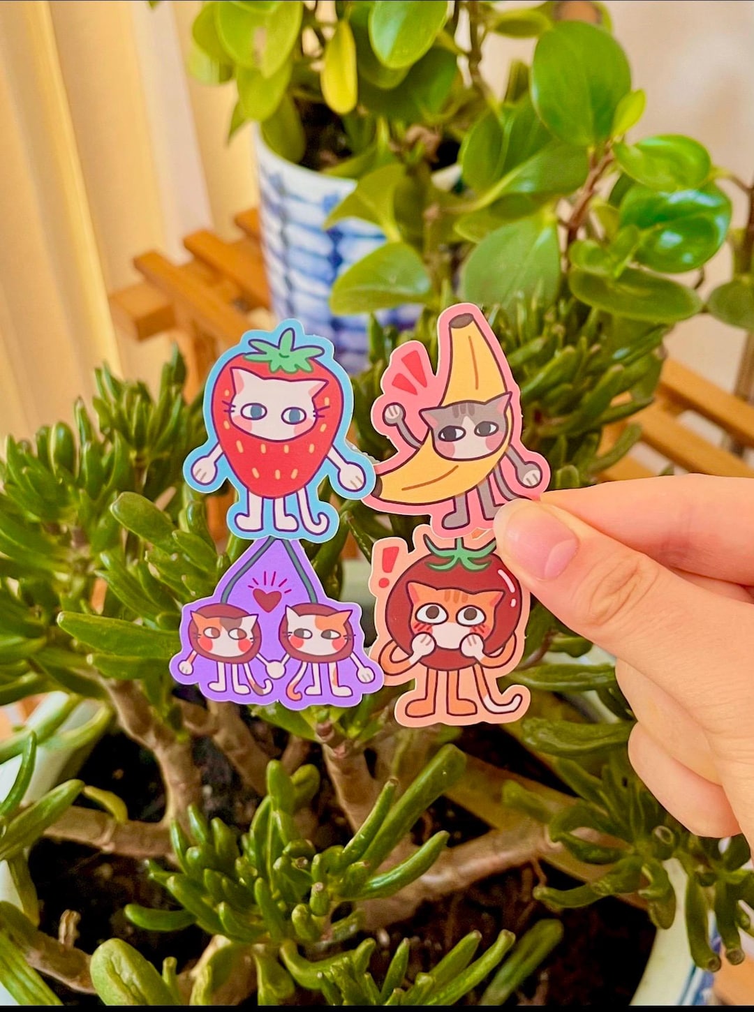 Fruit Cat Stickers | Cute Aesthetic Matte Vinyl Sticker Pack - Etsy