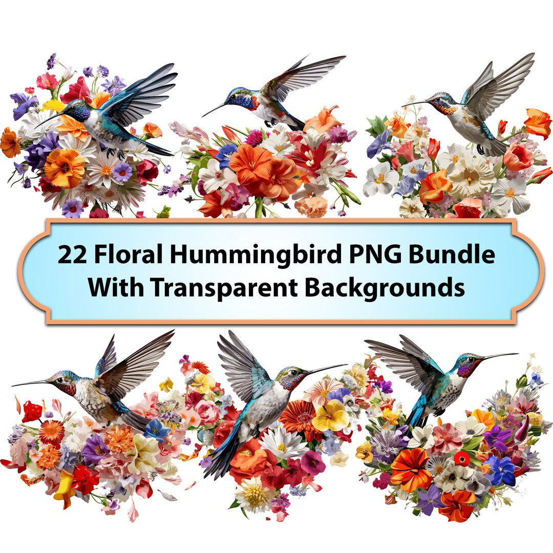 Floral Hummingbird Clipart PNG Bundle, Commercial Use Bird Bundle ...