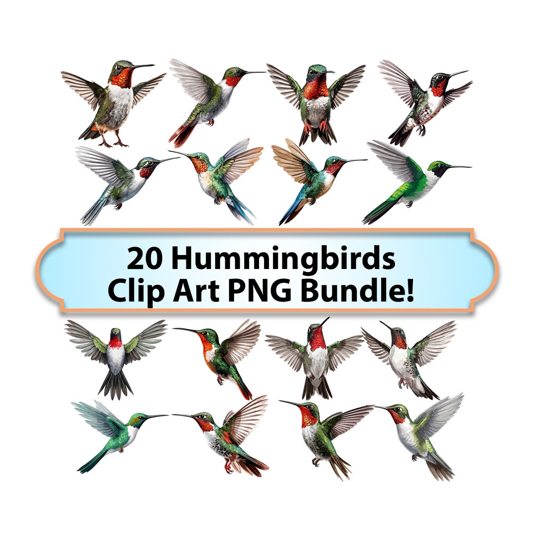 Hummingbird Clipart PNG Bundle, Commercial Use Bird Bundle, Hummingbird ...