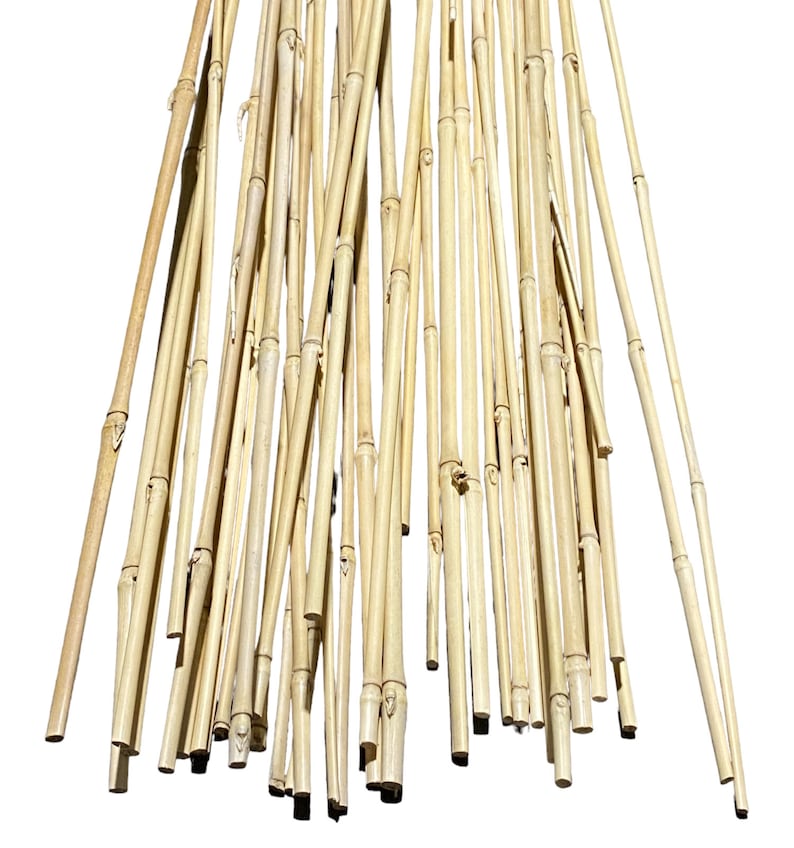 Colorful THIN Bamboo Poles (pack of 20) - 0.25" (inches) WIDE - 5 Feet ...